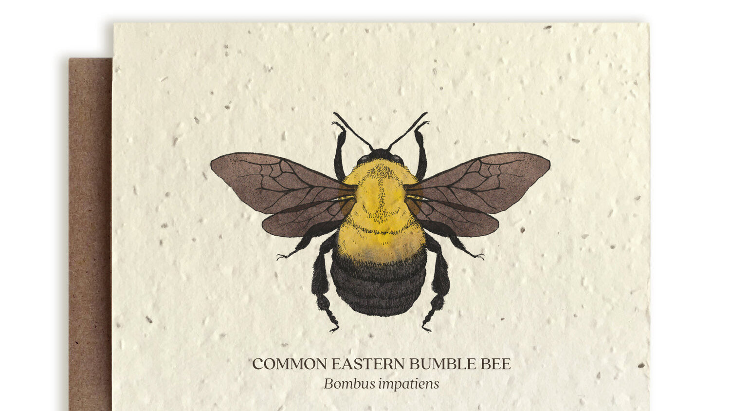 Postkort – a Piece of Nature