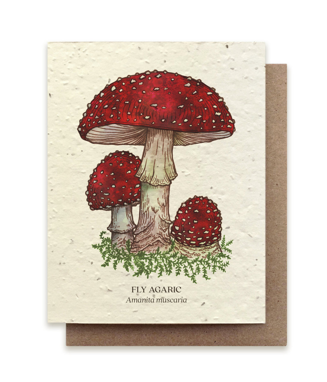 Fluesvamp (postkort) – a Piece of Nature